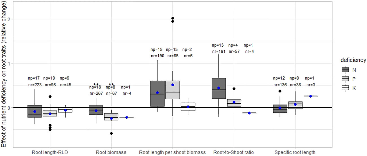Frontiers | Nutrient deficiency effects on root architecture and root ...