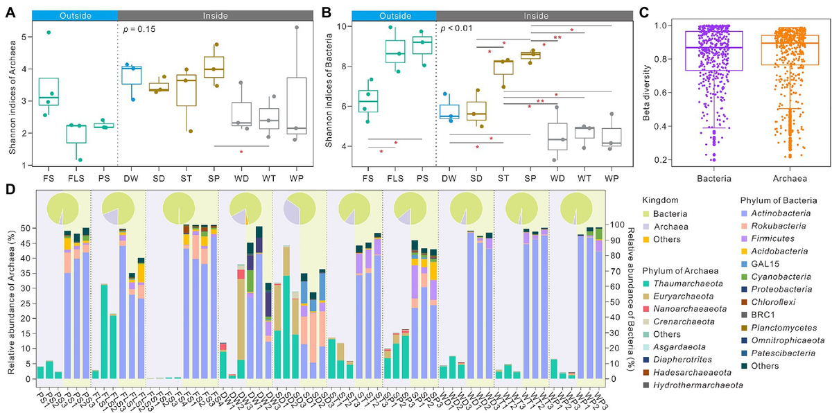 Frontiers | Archaea and their interactions with bacteria in a karst ...