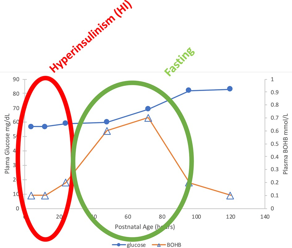 Frontiers | New approaches to screening and management of neonatal ...