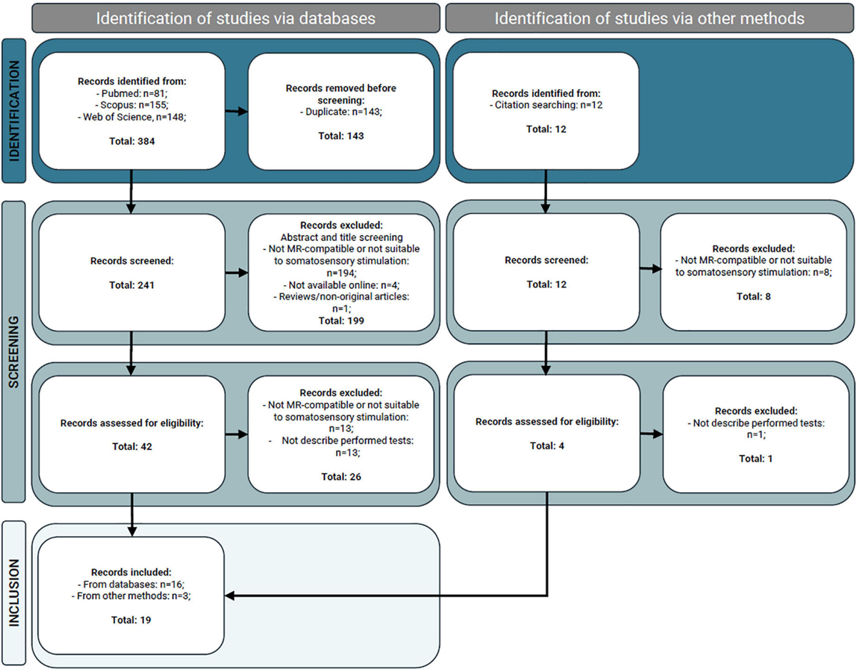 Frontiers | Assessing MR-compatibility of somatosensory stimulation ...