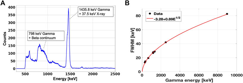 Frontiers | Loading the tumor with 31P, 63Cu and 89Y provides an in ...