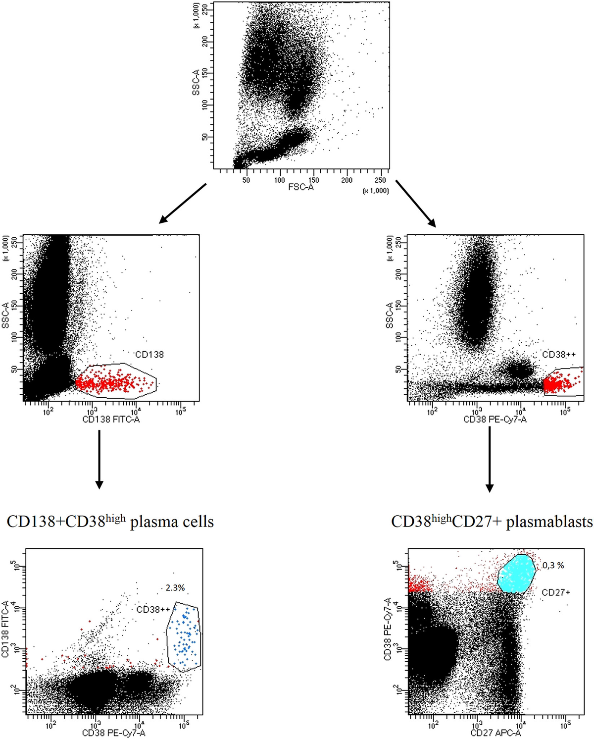 Frontiers | Increased expression of the ectoenzyme CD38 in peripheral ...
