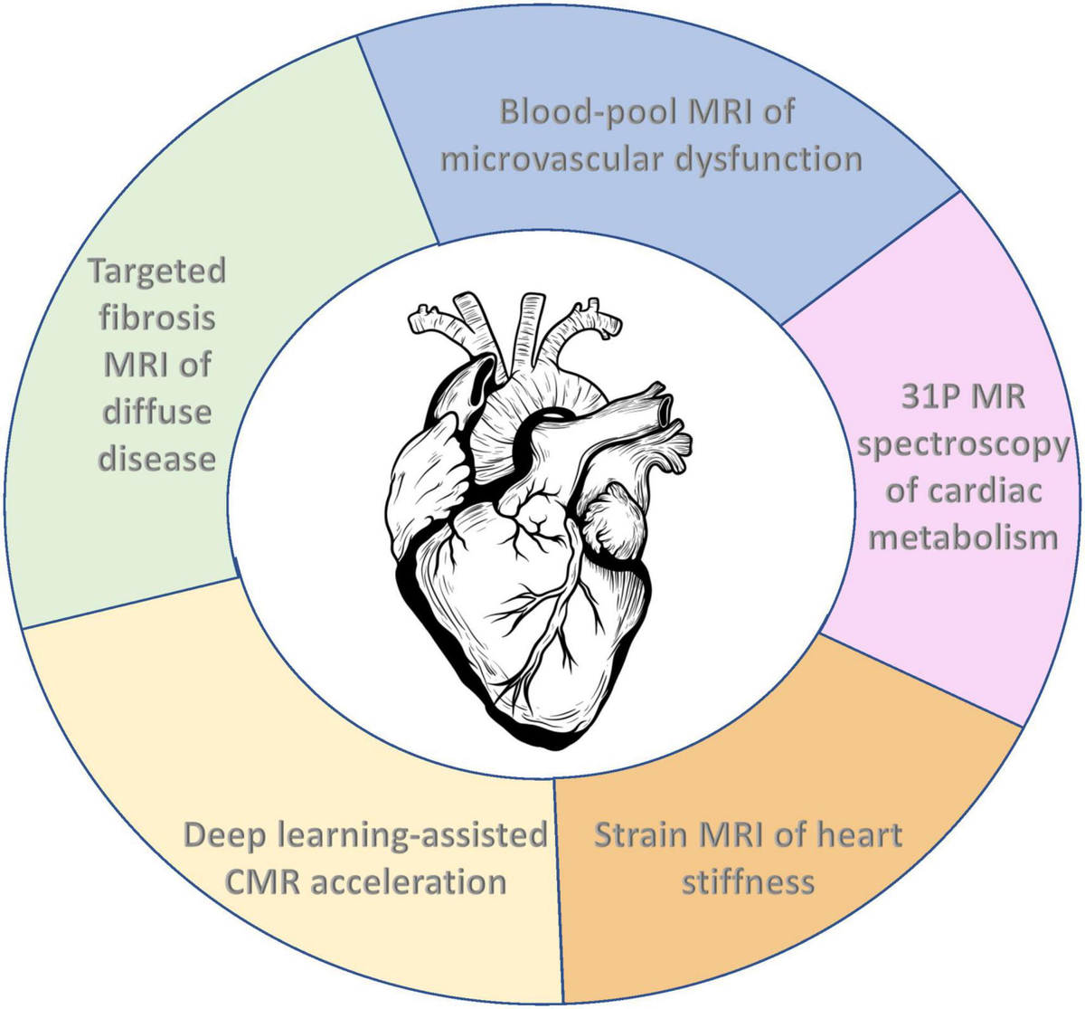 Frontiers | Emerging MRI techniques for molecular and functional ...