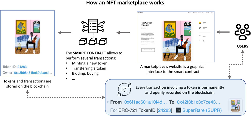 Frontiers | Seller-buyer networks in NFT art are driven by preferential ties