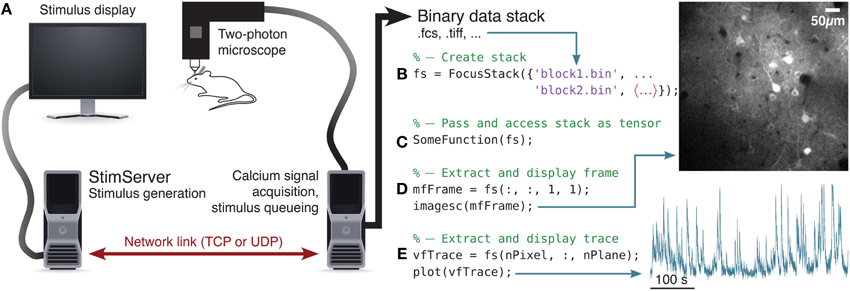 Frontiers | FocusStack and StimServer: A new open source MATLAB toolchain for visual stimulation ...