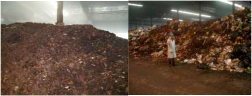 Frontiers | A field-scale evaluation of the removal of odorous gases by ...