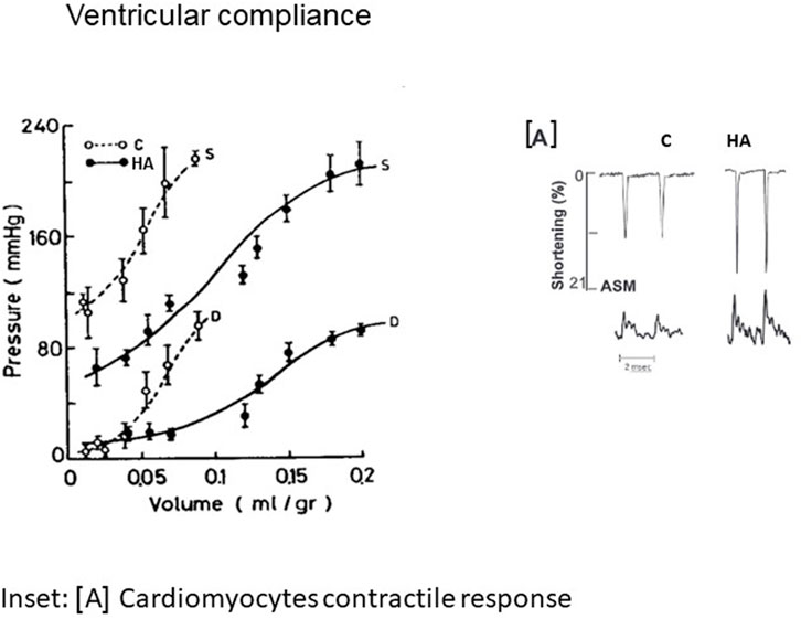 Frontiers | Vascular compliance and left ventricular compliance cross ...