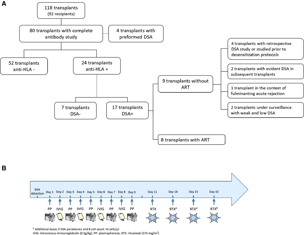 Frontiers | Antibody-removal therapies for de novo DSA in pediatric ...
