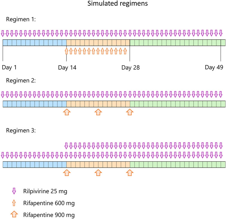 Frontiers | Evaluation of drug-drug interaction between rilpivirine and ...