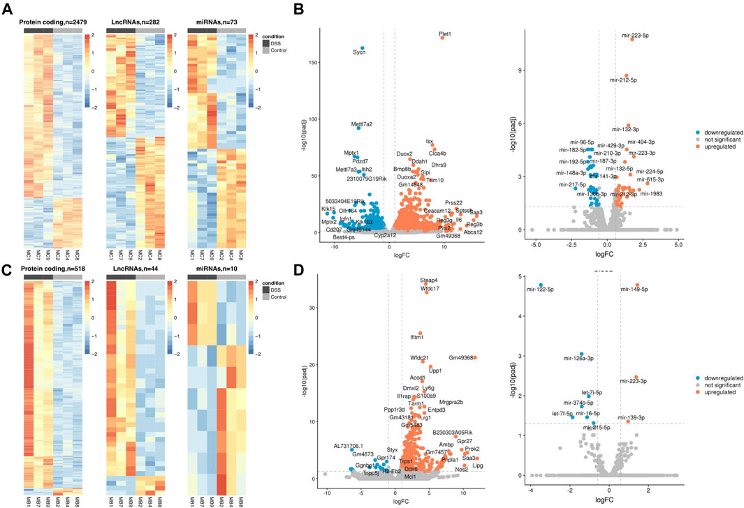 Frontiers | Cross-species high-resolution transcriptome profiling ...