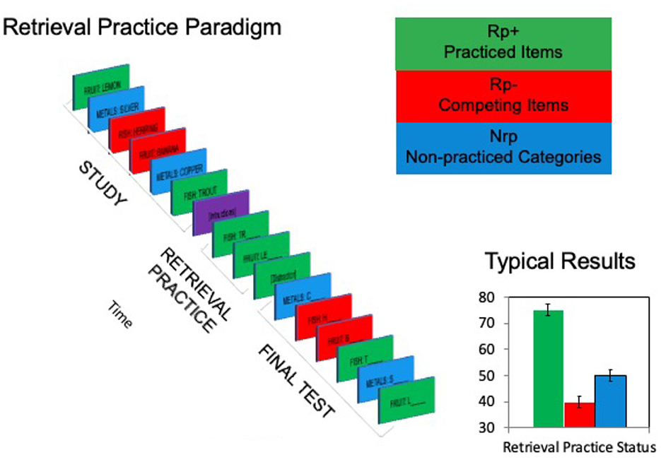 Frontiers | Retrieval-induced forgetting in declarative and procedural ...