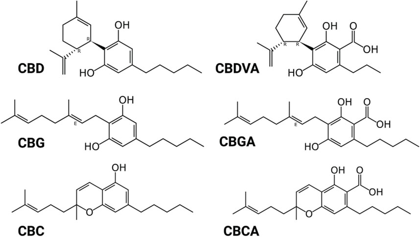 Frontiers | Beyond CBD: Inhibitory effects of lesser studied ...