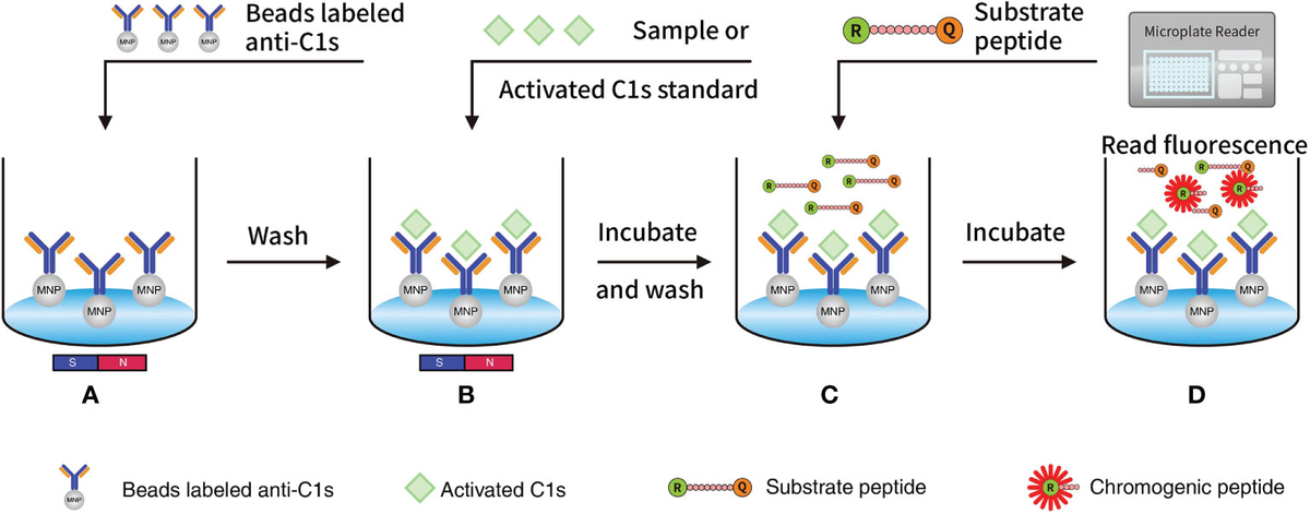 Frontiers | Quantitative fluorescence resonance energy transfer-based ...