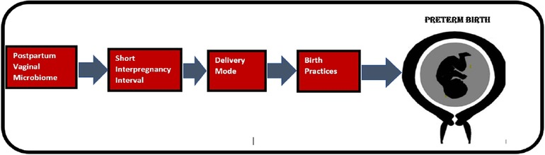 Frontiers | Role of short interpregnancy interval, birth mode, birth ...