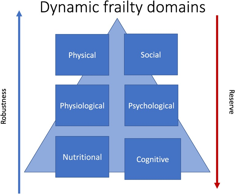 Frontiers | The role of frailty in advanced HF and cardiac transplantation