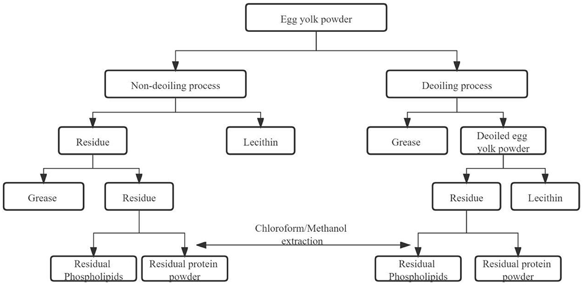 Frontiers | Perspectives on lecithin from egg yolk: Extraction ...