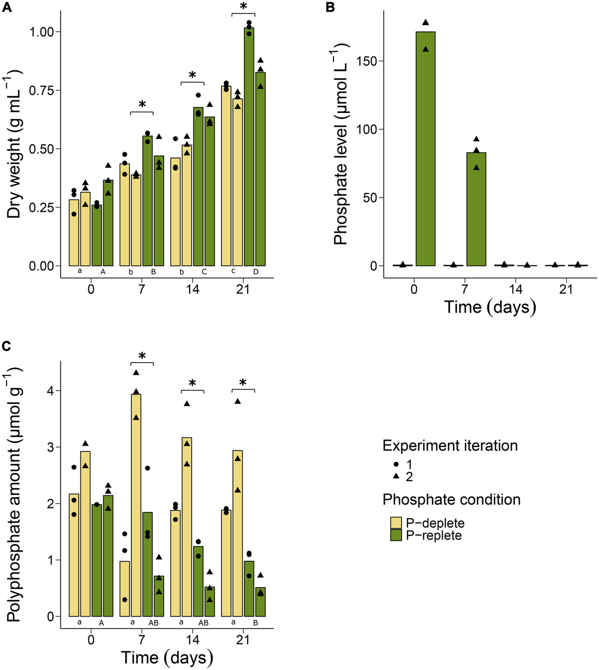 Frontiers | Acclimation of Nodularia spumigena CCY9414 to inorganic ...