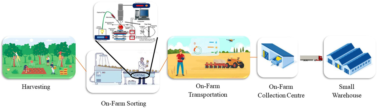 Frontiers | Advancement in artificial intelligence for on-farm fruit sorting and transportation