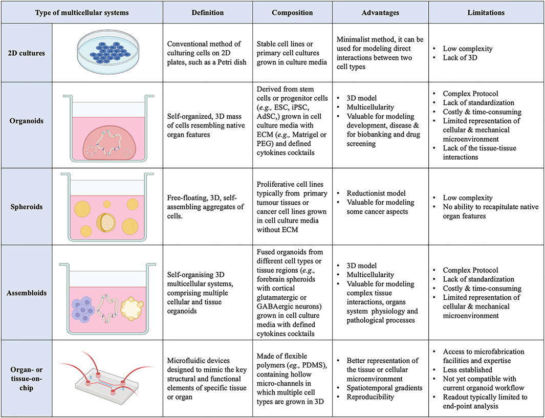 Frontiers | 3D multicellular systems in disease modelling: From ...