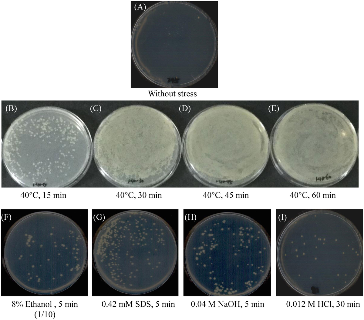 Frontiers | First insight into how stress exposure triggers Vibrio ...