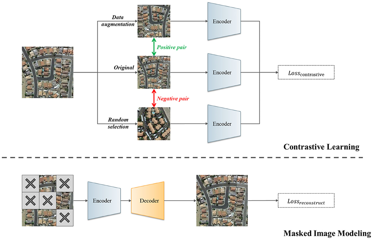Frontiers | GSC-MIM: Global semantic integrated self-distilled ...