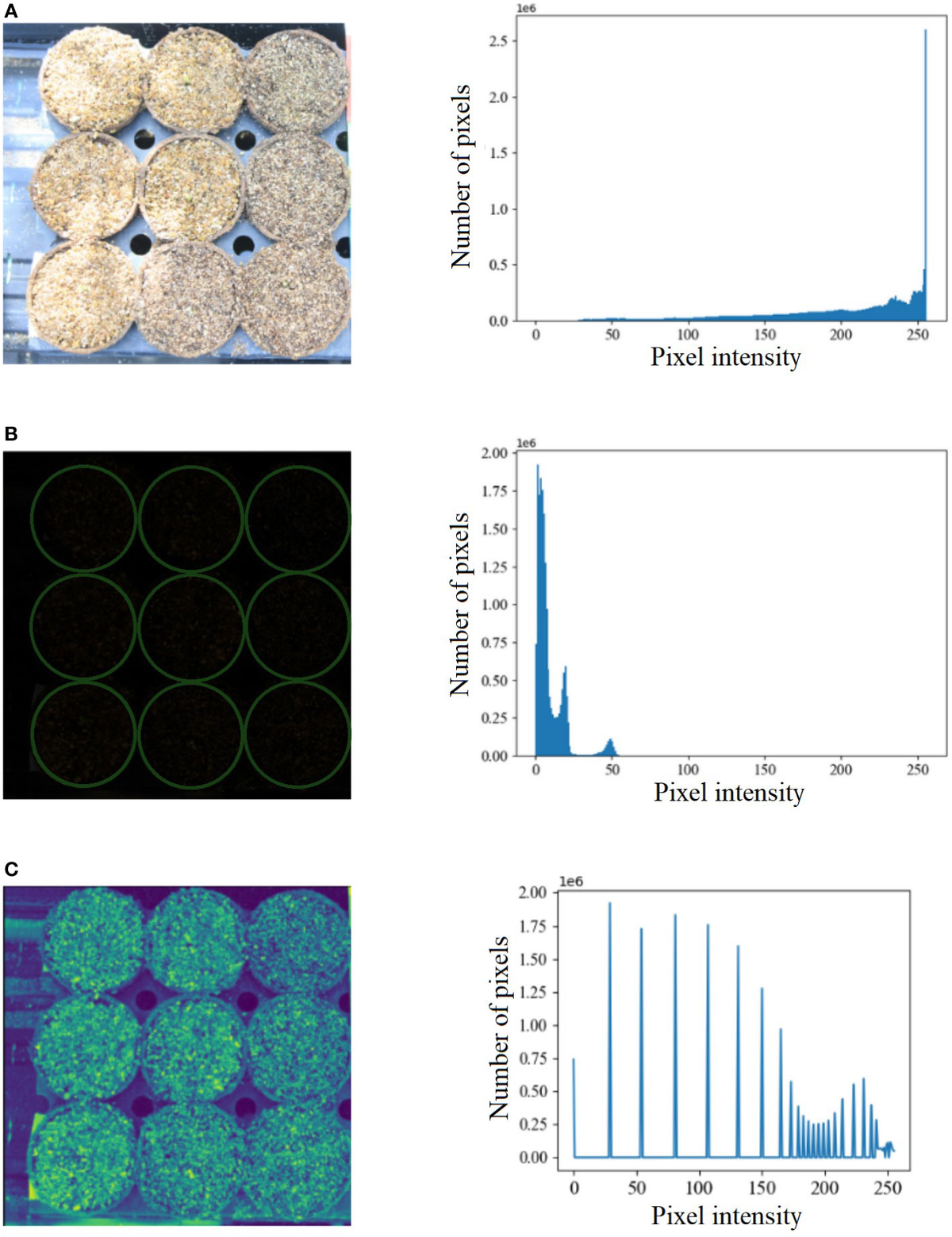 Frontiers | EmergeNet: A novel deep-learning based ensemble ...