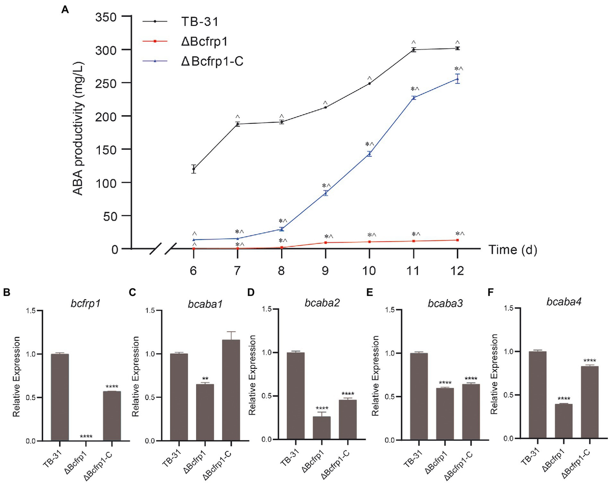 Frontiers Combined Transcriptome And Proteome Analysis Of Bcfrp1