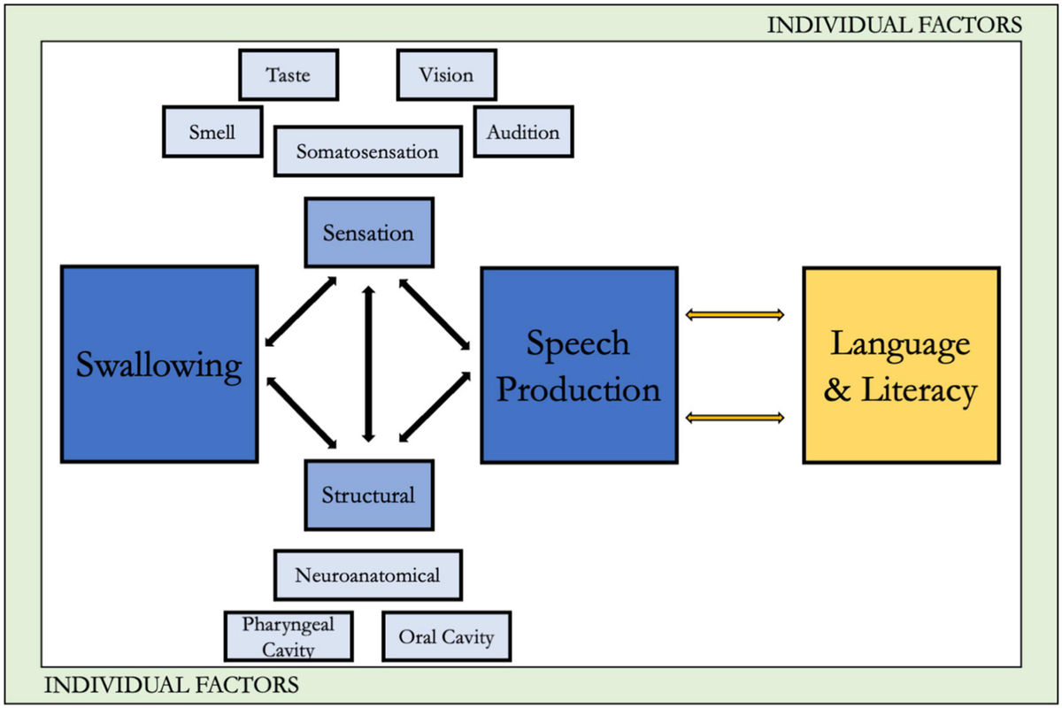 Frontiers | A biophysiological framework exploring factors affecting ...