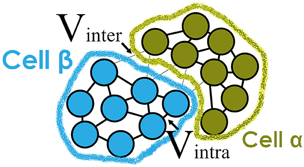 Frontiers | Dense agent-based HPC simulation of cell physics and ...