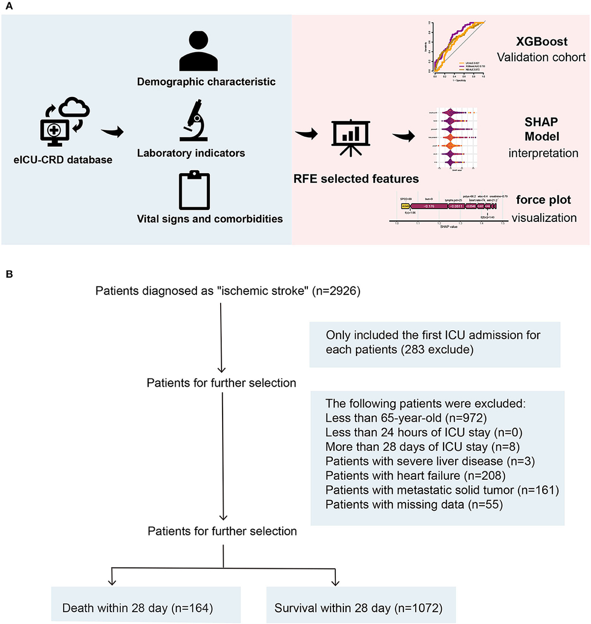 Frontiers | Twenty-eight-day in-hospital mortality prediction for elderly patients with ischemic ...