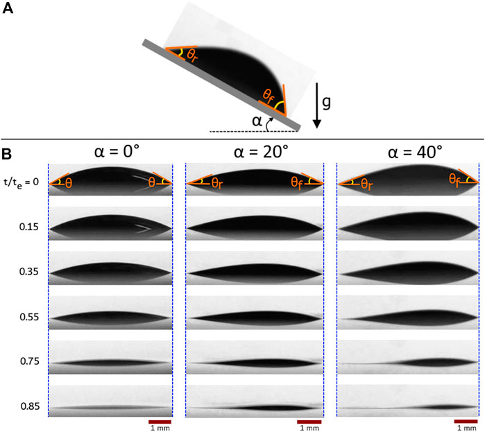 Frontiers | Inclined colloidal drops: Evaporation kinetics and pattern ...