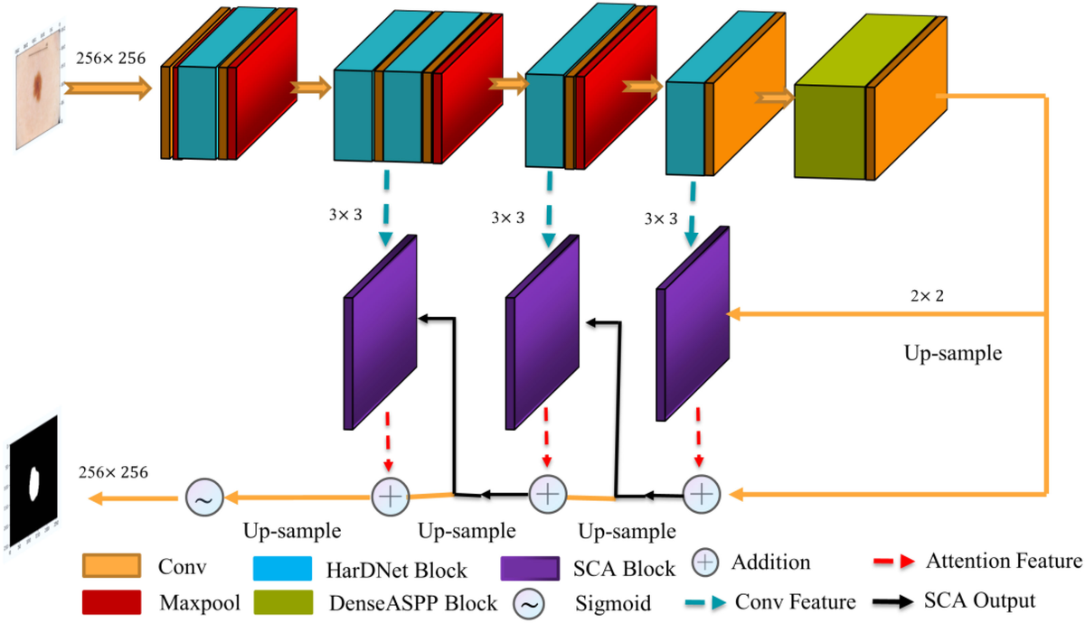 Frontiers | Automatic polyp image segmentation and cancer prediction based on deep learning