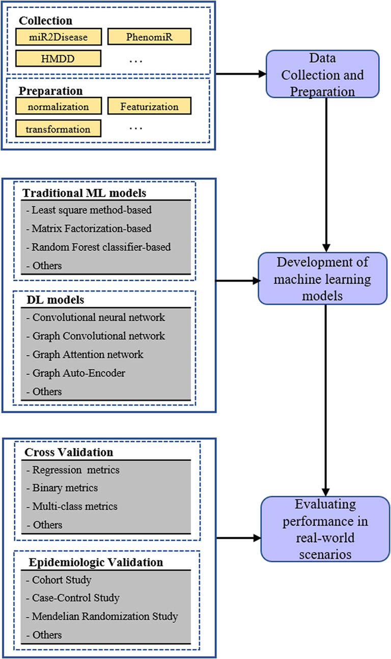 Frontiers | Machine learning in the development of targeting microRNAs in human disease