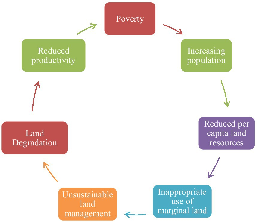 Frontiers | Degraded land rehabilitation through agroforestry in India ...