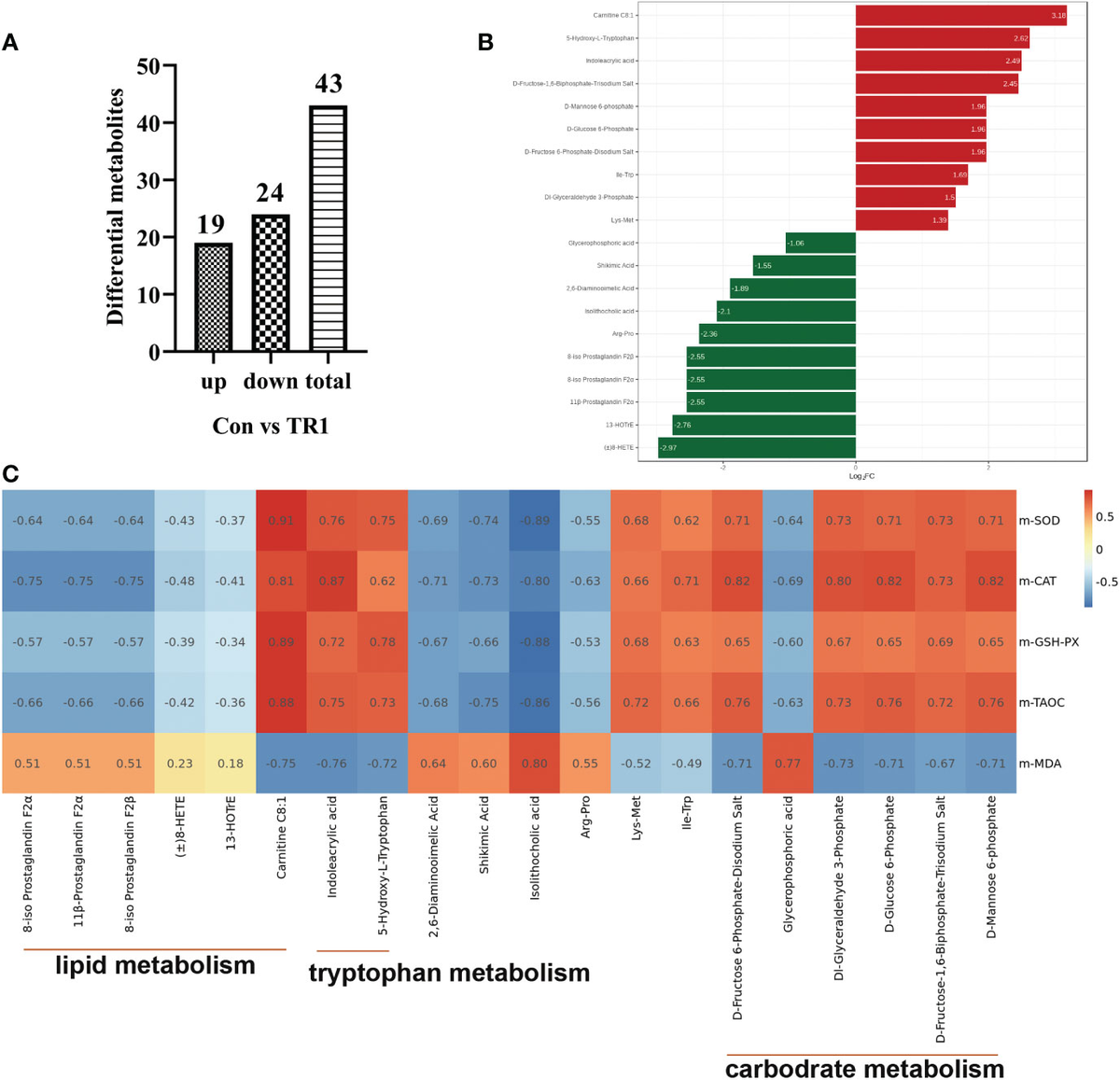 Frontiers | Transcriptomics and metabolomics analysis reveal the anti ...