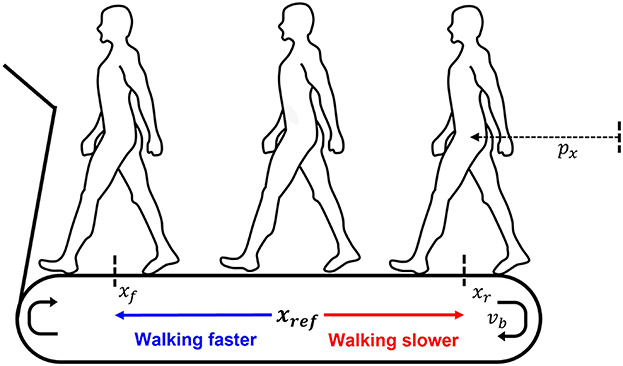 Frontiers | A robotic treadmill system to mimic overground walking ...