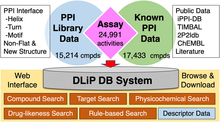 Frontiers | DLiP-PPI library: An integrated chemical database of small ...