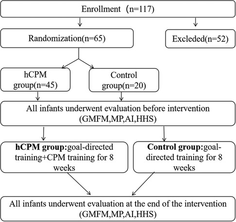 Frontiers | Effect of hip CPM on gross motor function and development ...