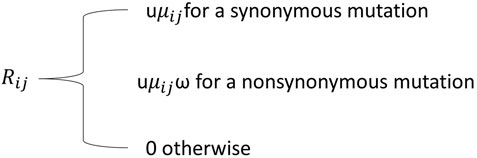 Frontiers | Next-generation development and application of codon model ...