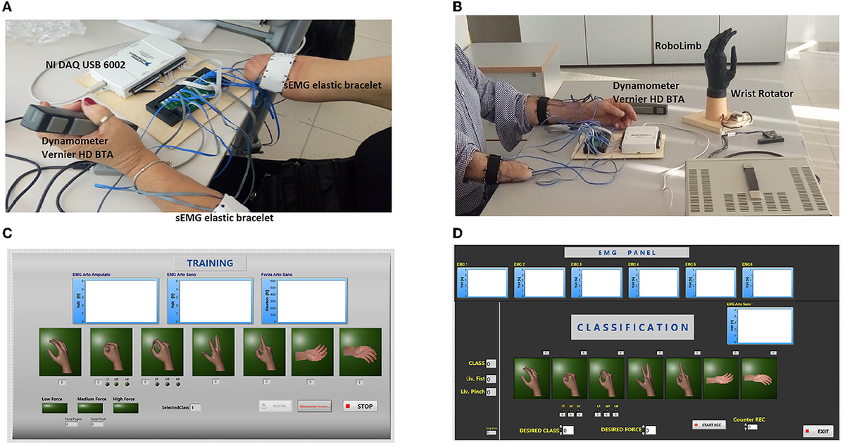 Frontiers | Hierarchical strategy for sEMG classification of the hand/wrist gestures and forces ...