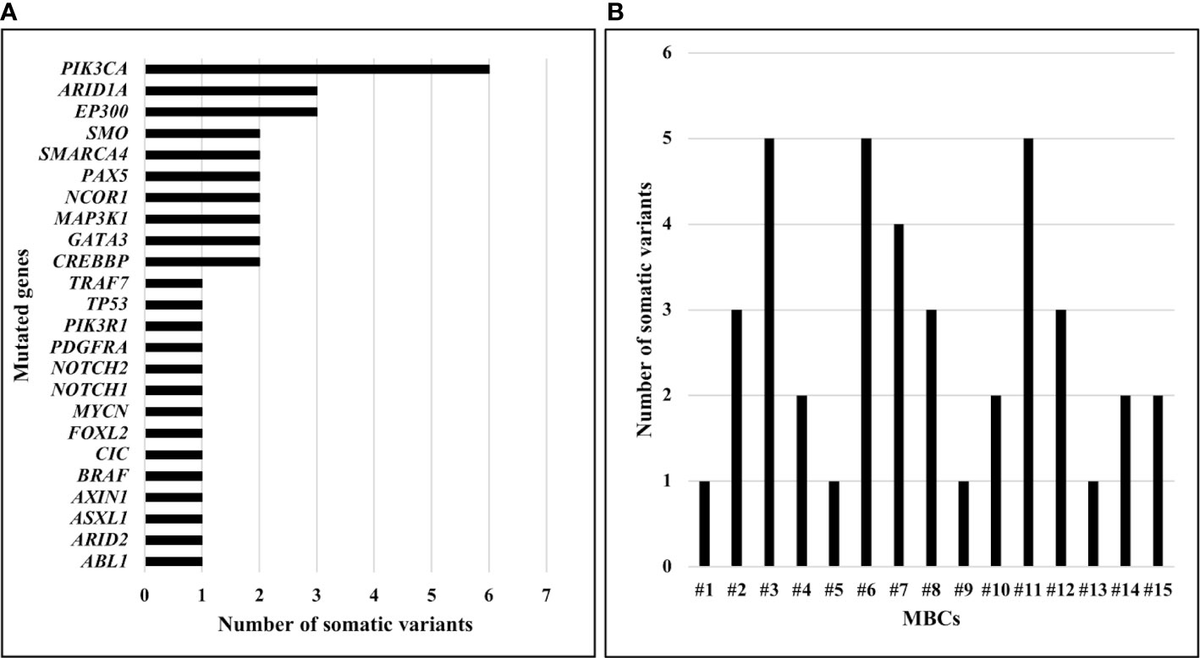 Frontiers | Molecular profiling of male breast cancer by multigene ...