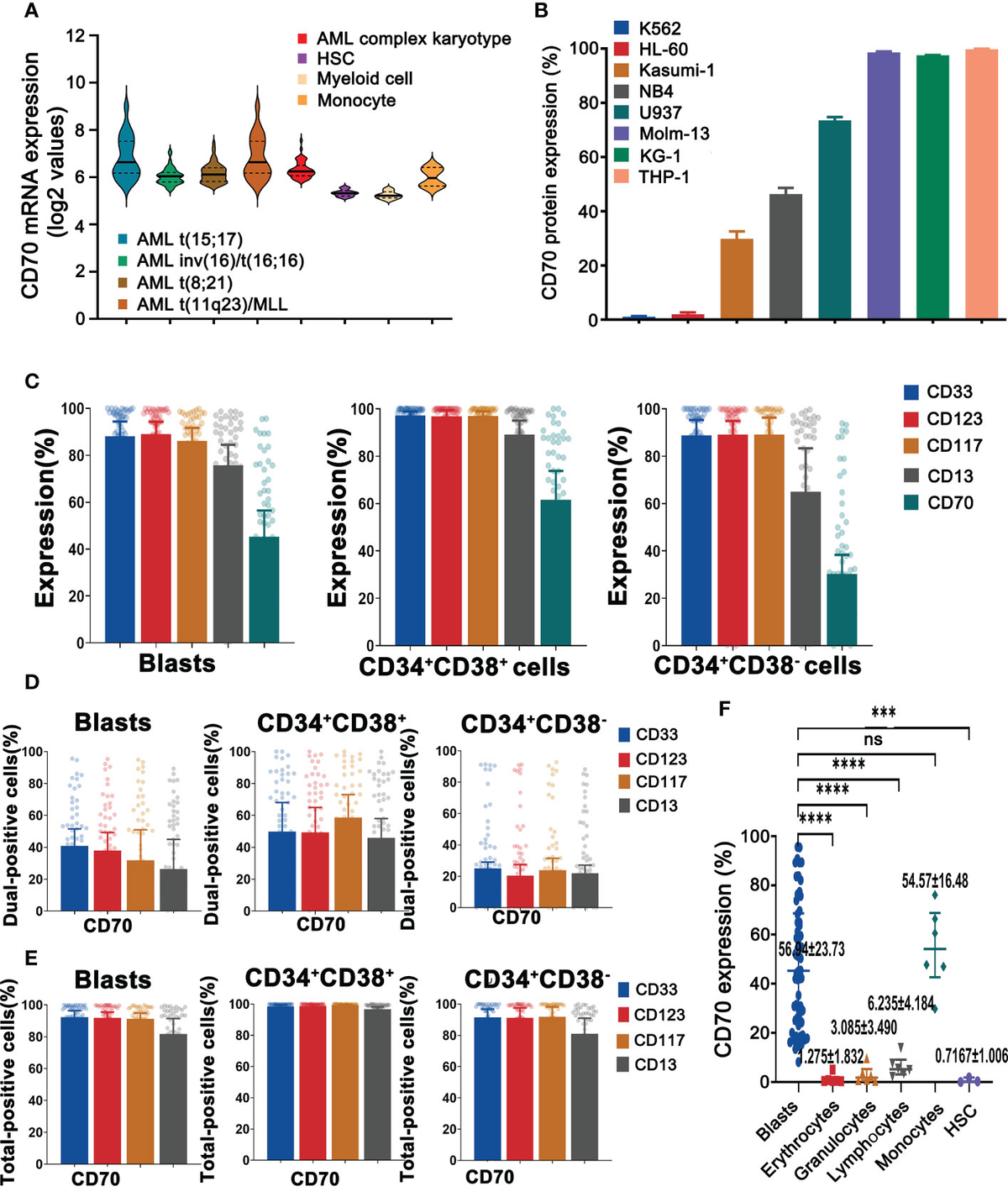 Frontiers | Preclinical evaluation of CD70-specific CAR T cells ...