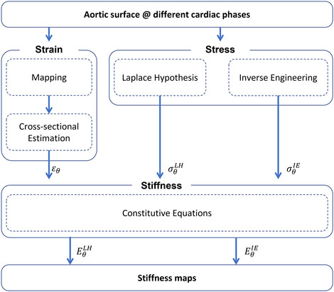 Frontiers | An image-based approach for the estimation of arterial ...