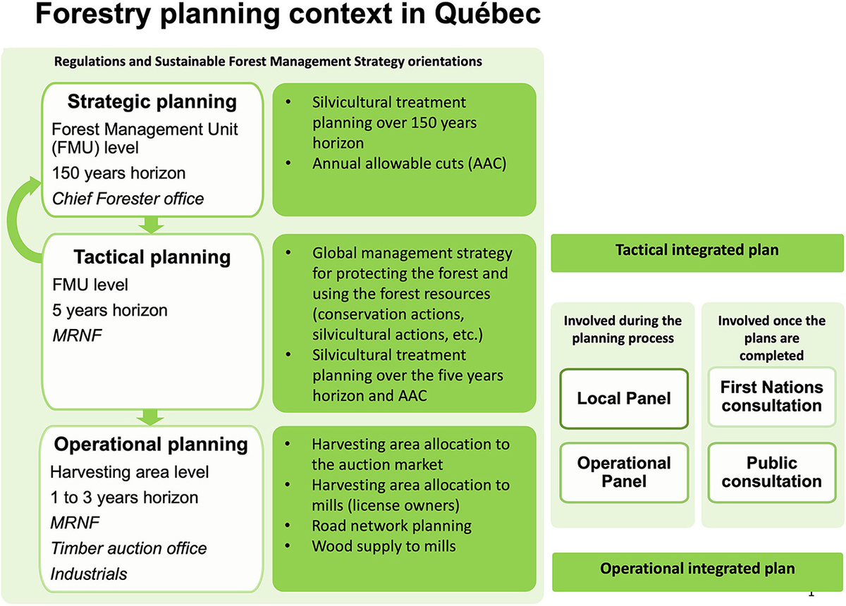 Frontiers | Embracing sustainability in public-owned forest resources ...