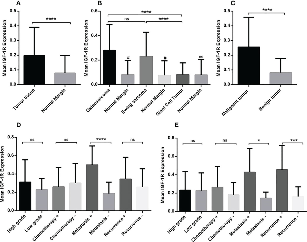 Frontiers | Evaluating the local expression pattern of IGF-1R in tumor ...