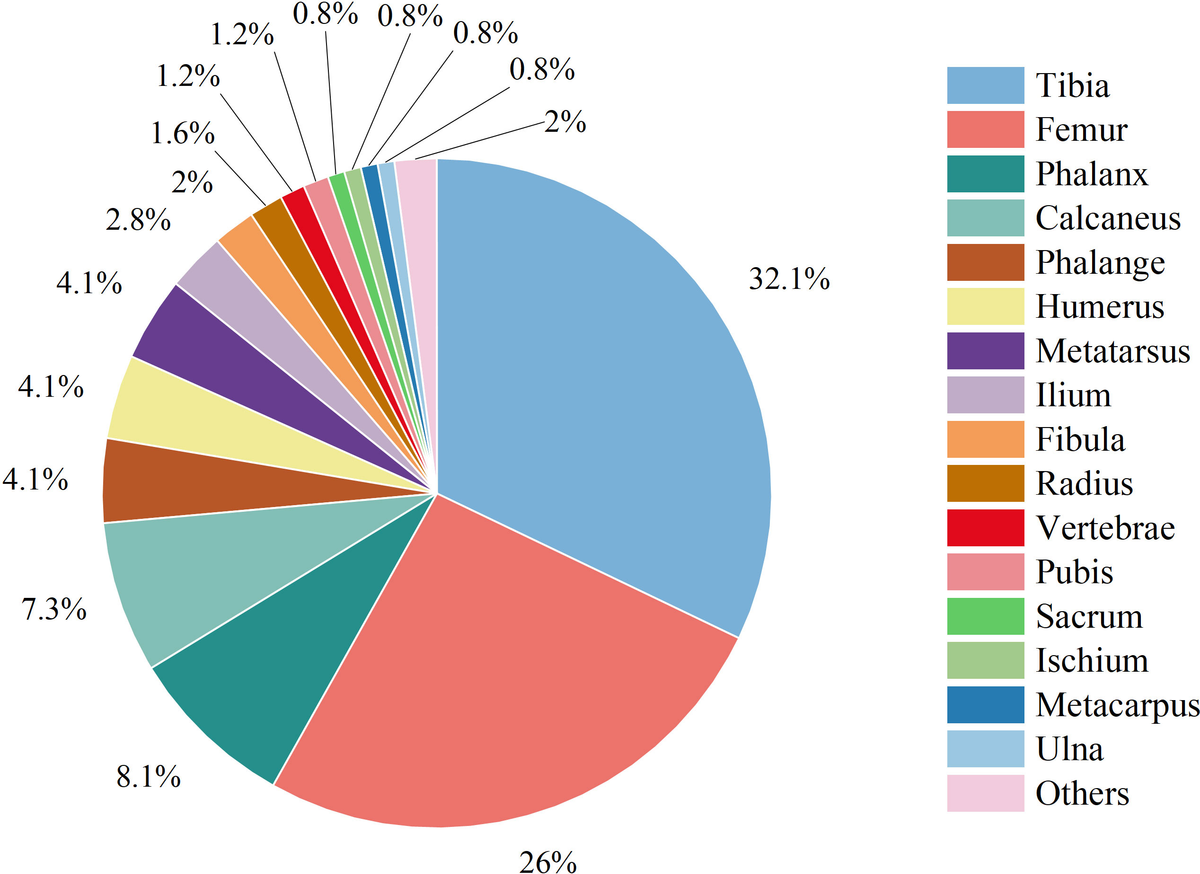 Frontiers | Analysis of the epidemiological status, microbiology ...