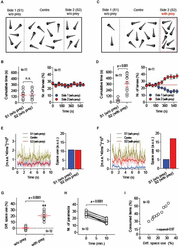 Frontiers | The behavior of larval zebrafish reveals stressor-mediated ...