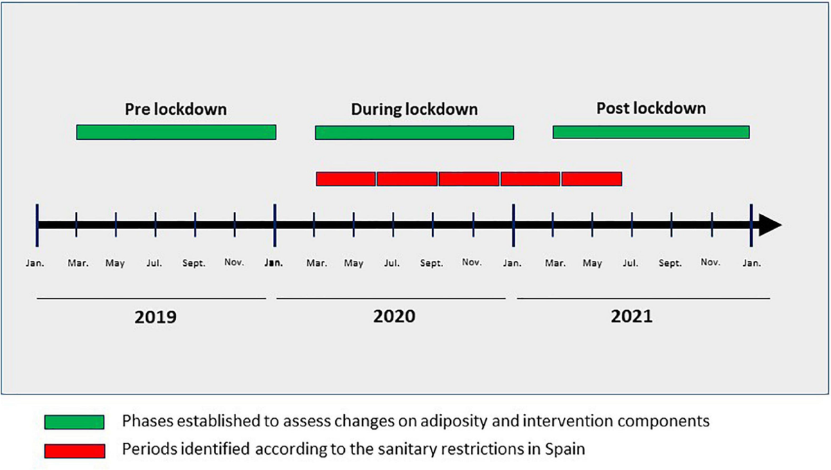 Frontiers | Impact of COVID-19 pandemic on the PREDIMED-Plus randomized ...