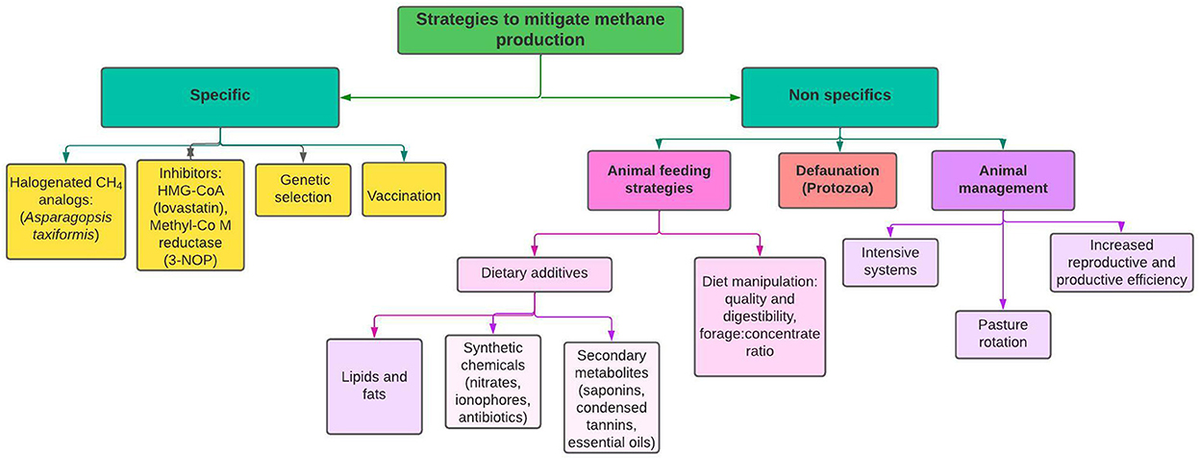 Frontiers | Editorial: Feeding and nutritional strategies to reduce ...