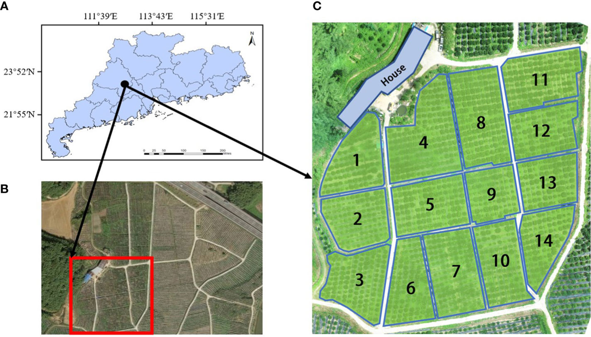 Frontiers | Design and validation of a multi-objective waypoint ...